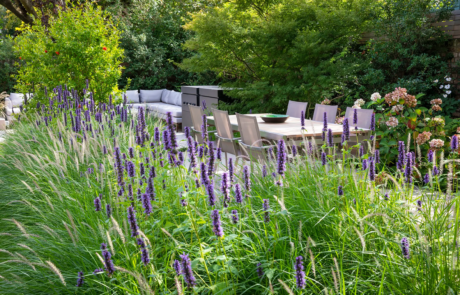 Modern Garden Hampstead - Rosemary Coldstream